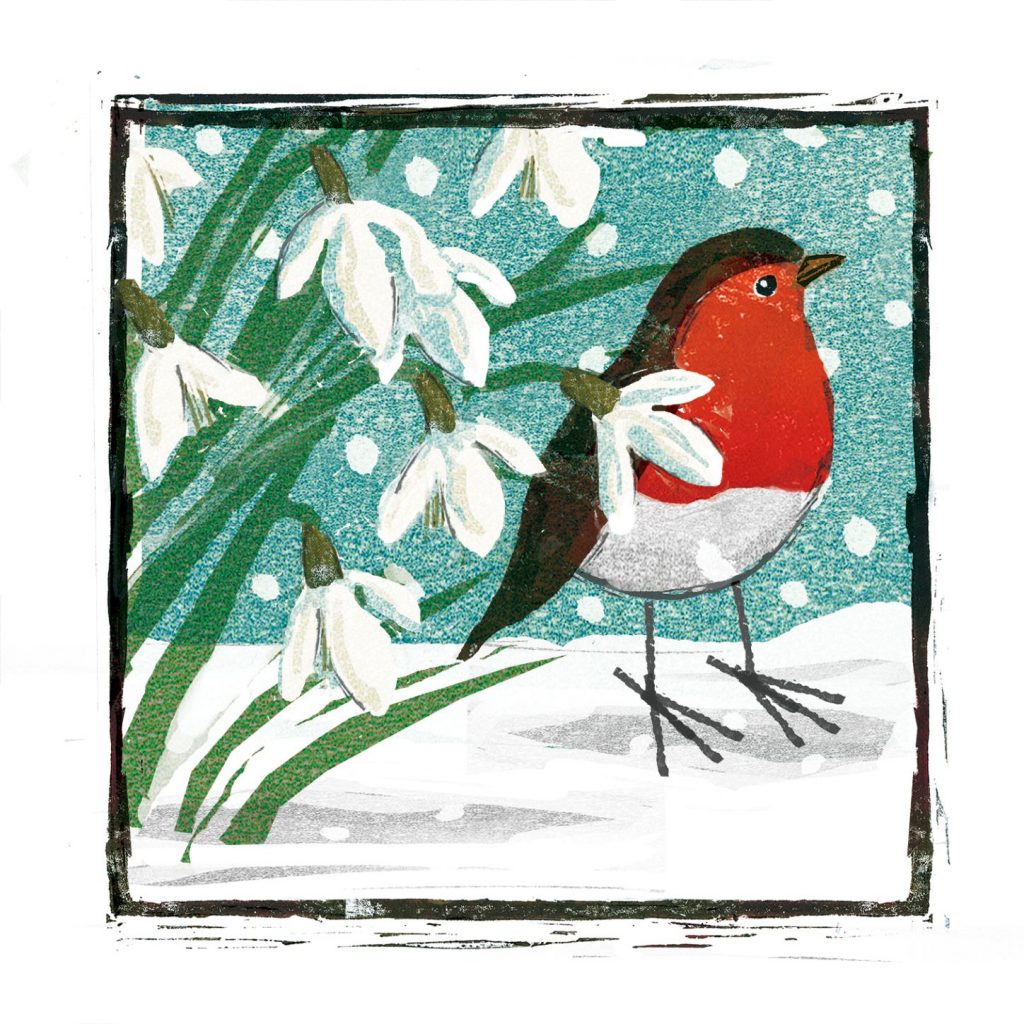 Robin and Snowdrops Christmas Cards | Save the Children Shop