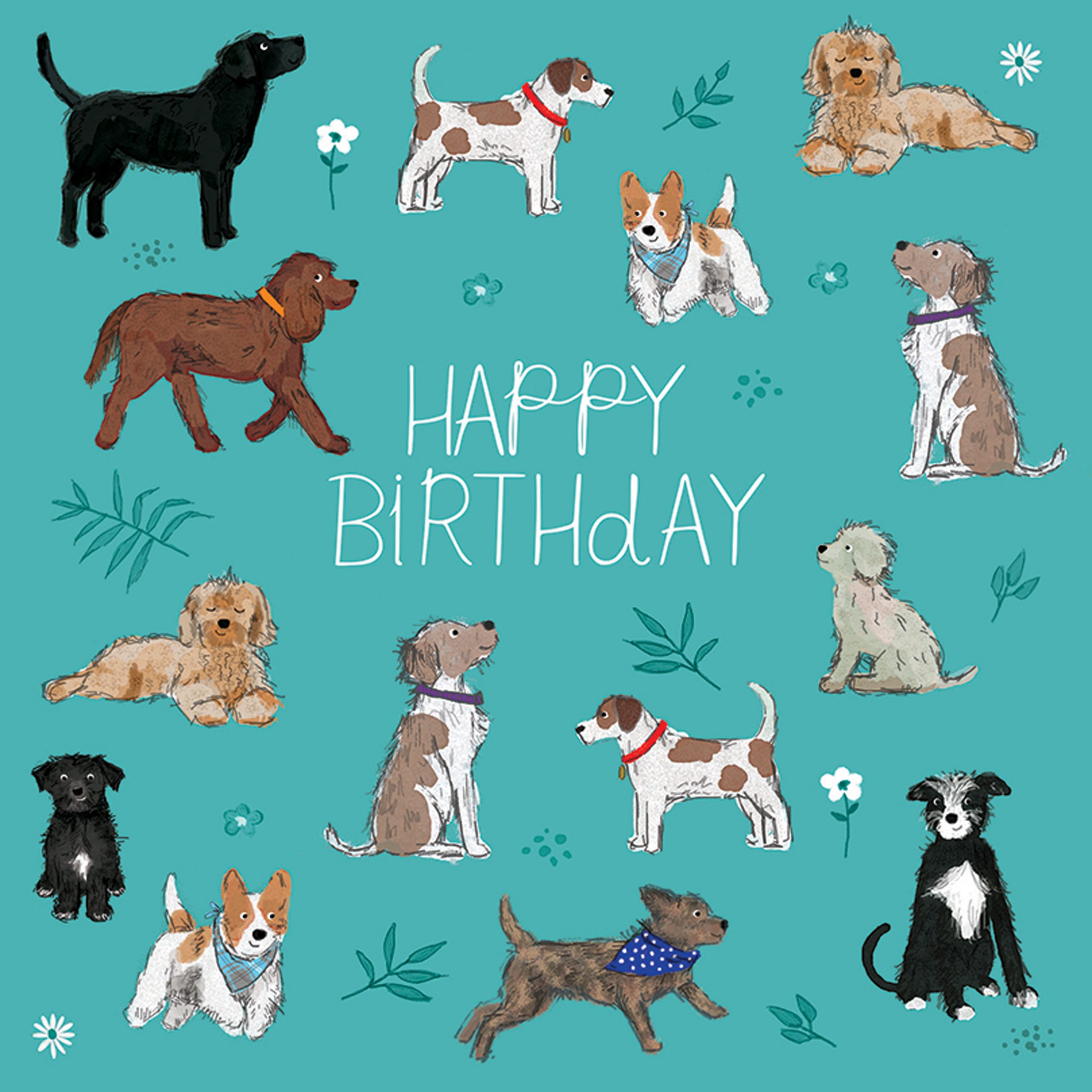 Mixed Dogs Birthday Card Save The Children Shop