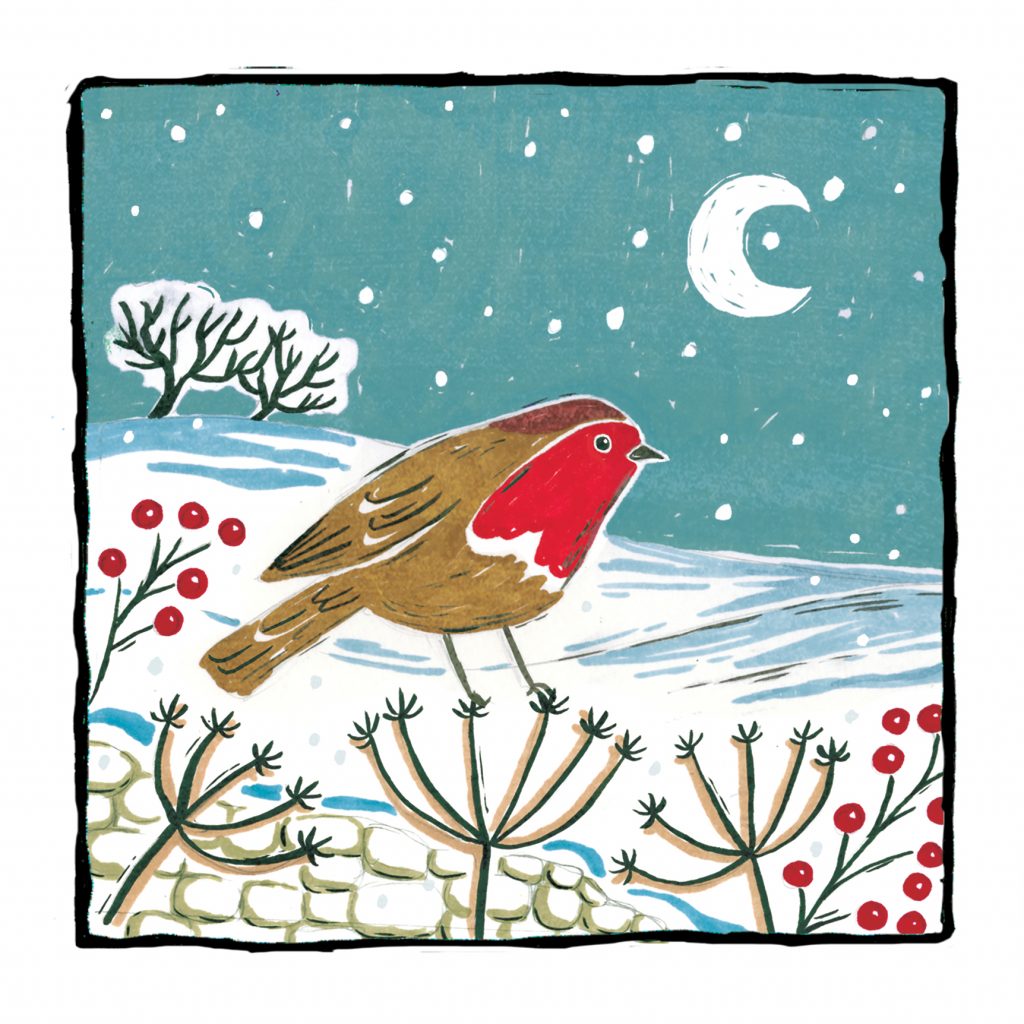 Printed Robin Christmas Cards | Save the Children Shop