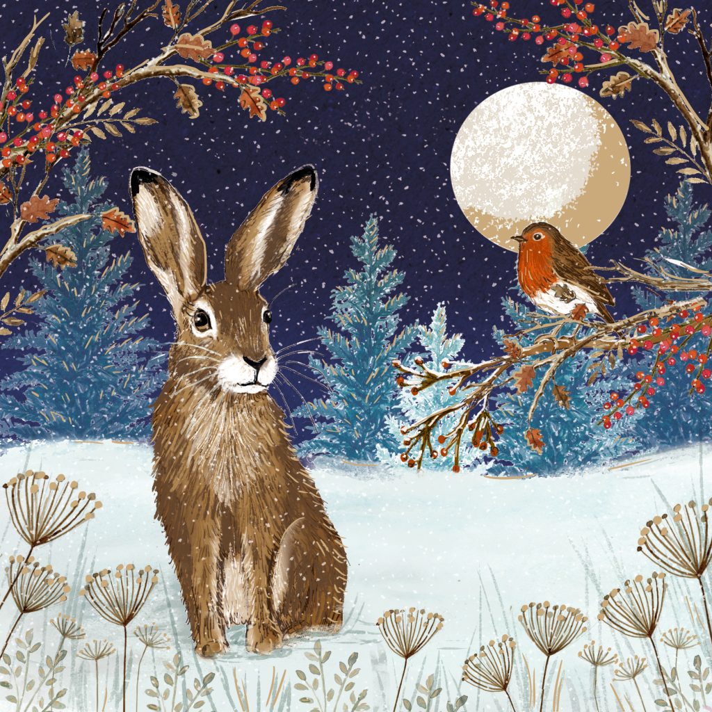 Moonlit Hare and Robin Christmas Cards | Save the Children Shop